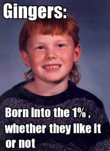 Funny Ginger Memes Part 1, Because Why Not? – Slightly Qualified